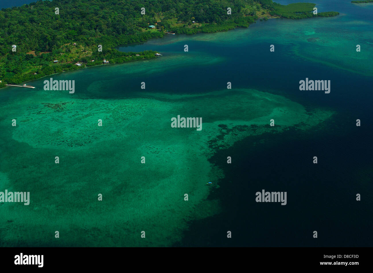 Coral reefs near the shore of Bastimentos island Stock Photo - Alamy