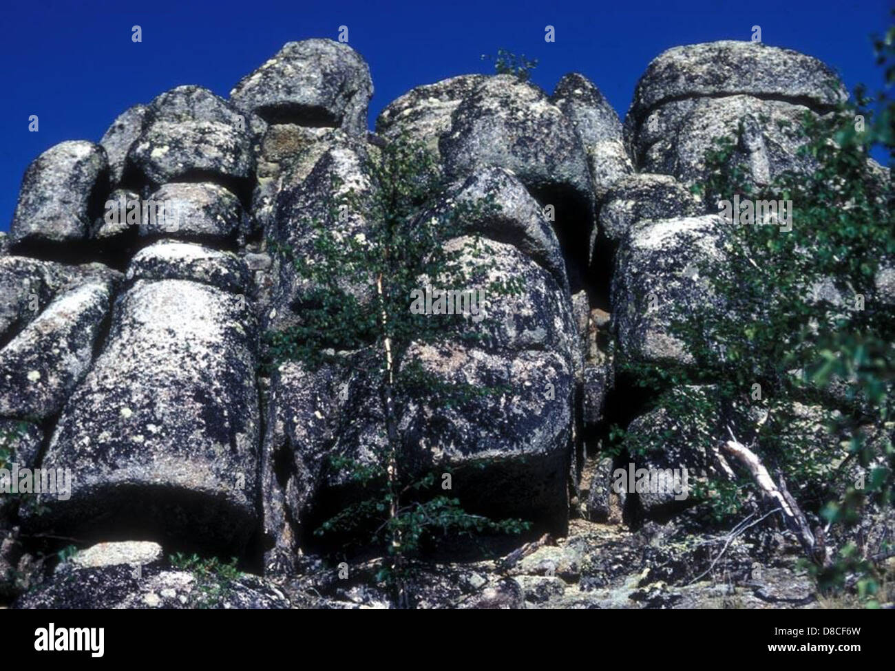 A natural formation of basalt columns is captured in this image. The ...