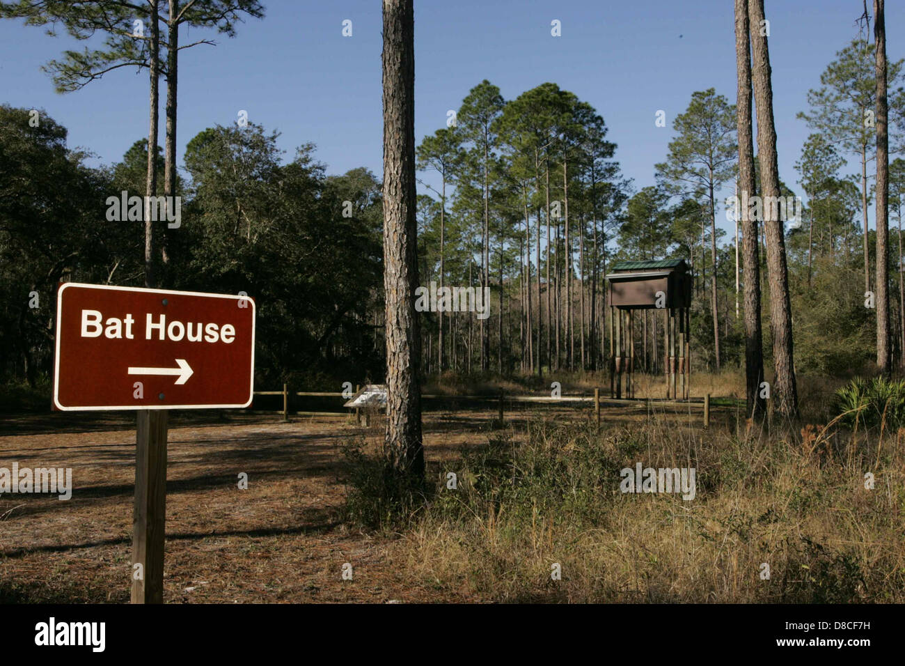 A sign for a bat house located in a forest, showing its placement in ...