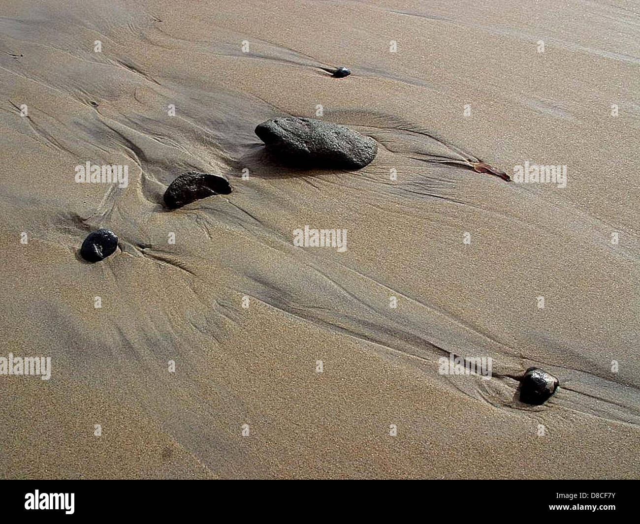 This image shows a beach covered in fine, soft sand, with clear blue ...