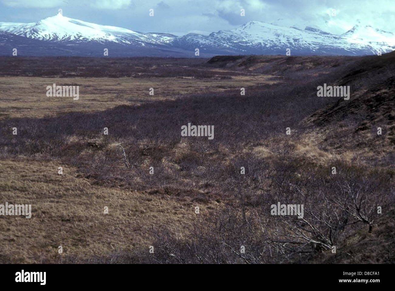 Becharof National Wildlife Refuge in Alaska offers a scenic view of its ...