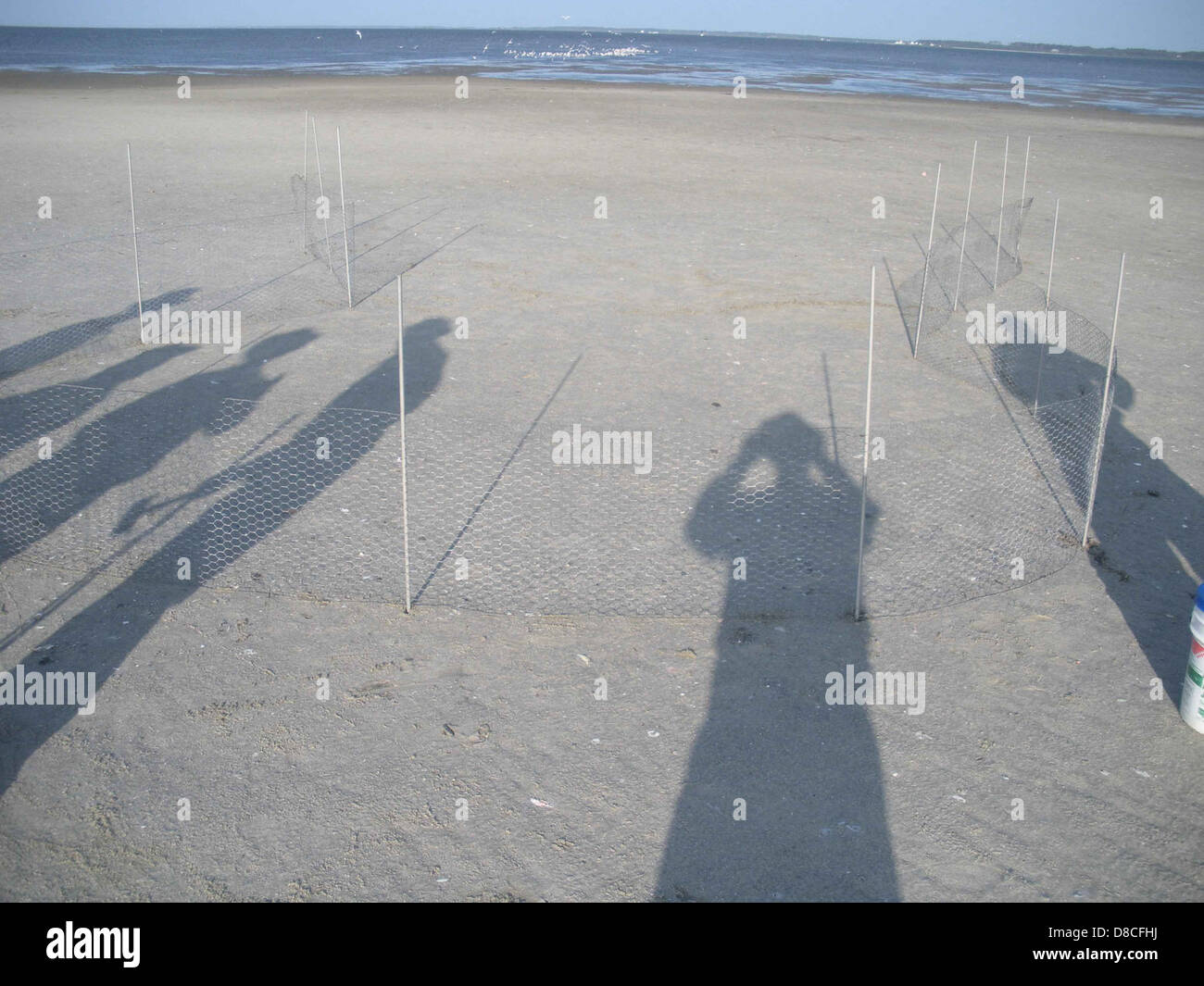 Birds pen hi-res stock photography and images - Alamy