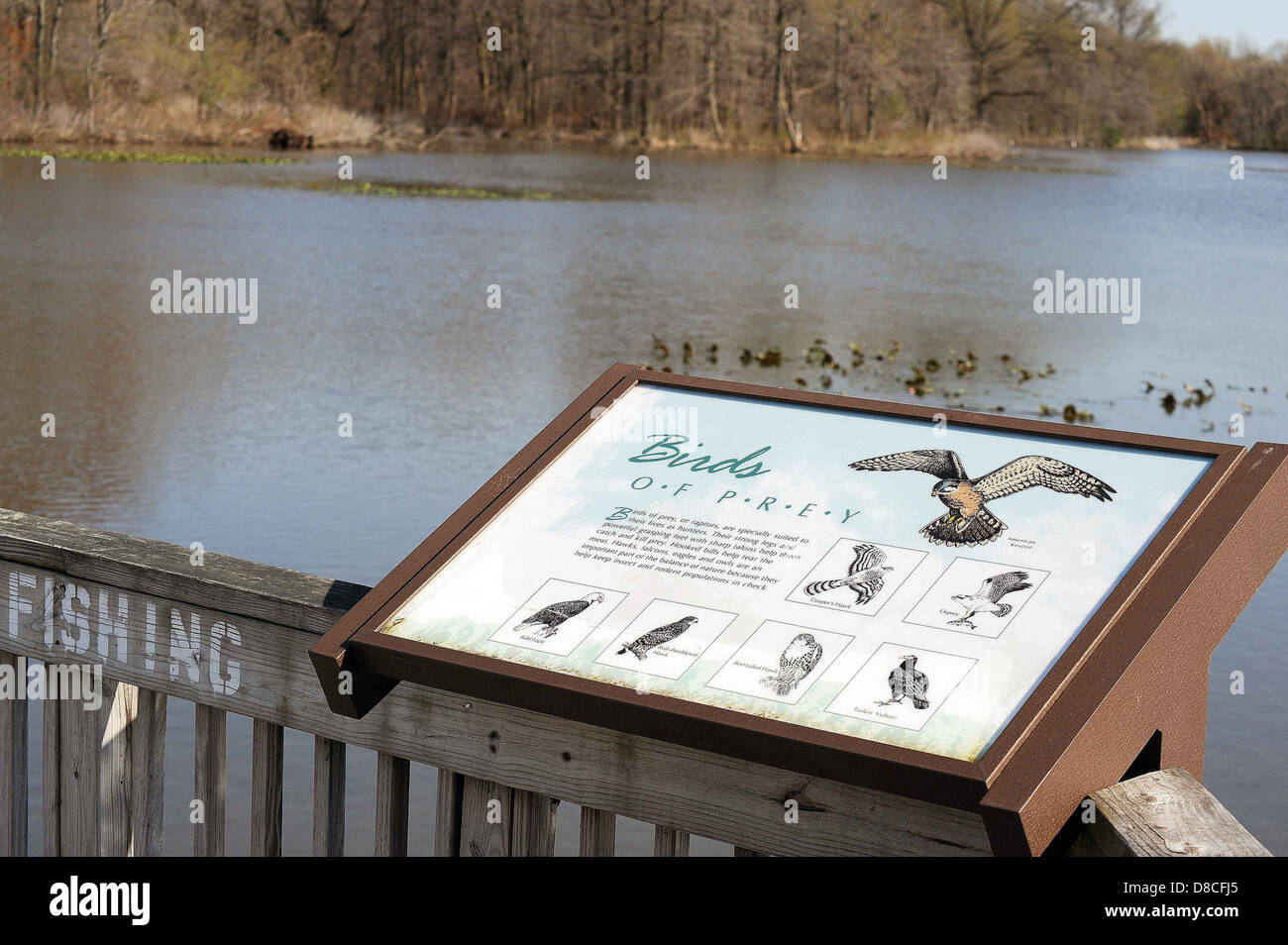 A bird signage sign displays information about local bird species in a ...