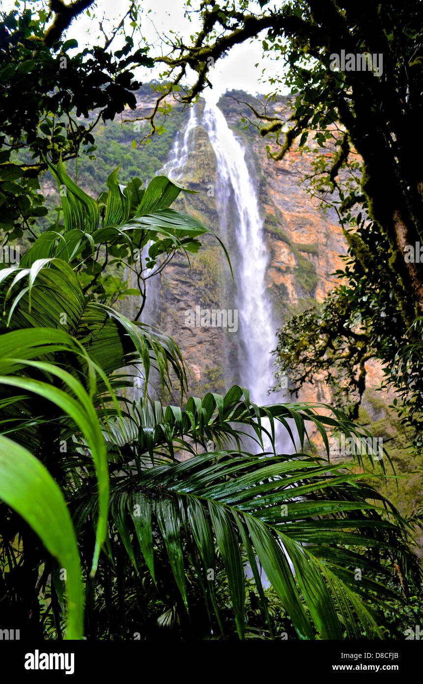 Gocta waterfall, 771m high. Chachapoyas, Amazonas, Peru Stock Photo - Alamy