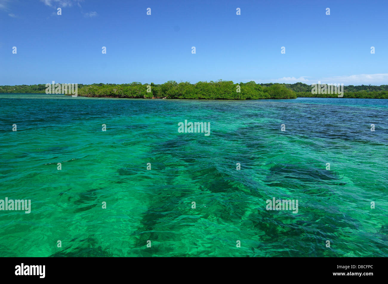 Mangrove swamps at Colon Island shore Stock Photo - Alamy