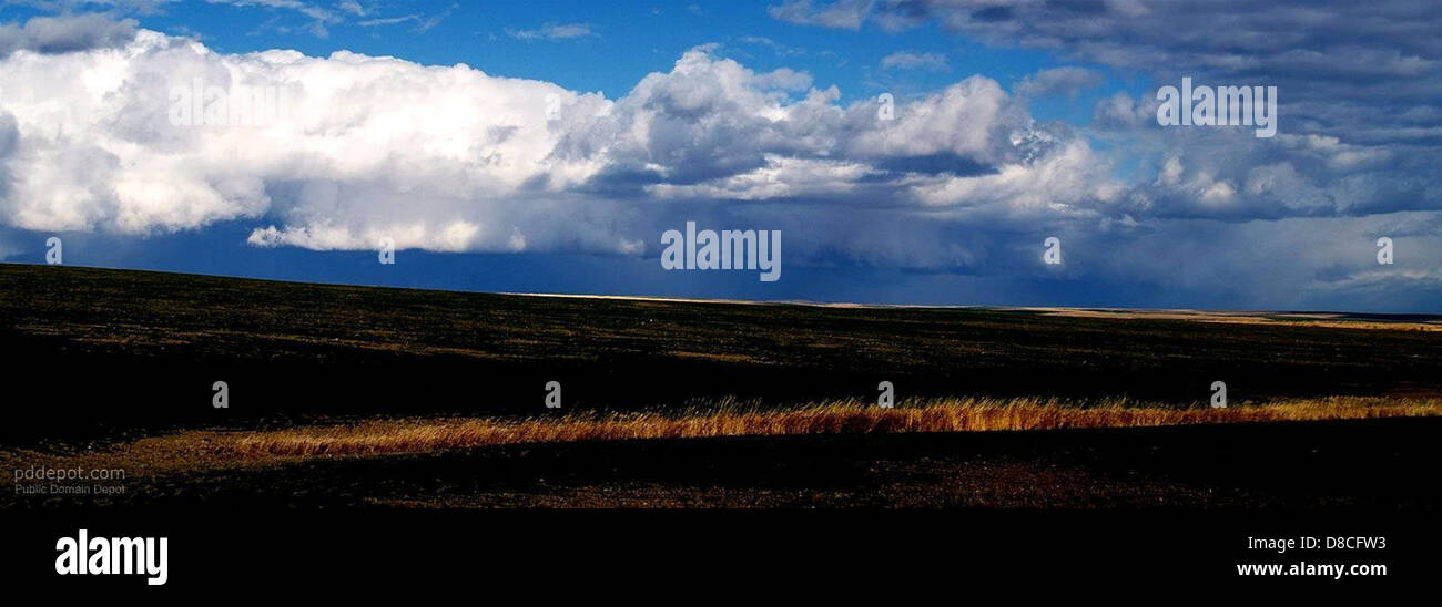 A wide-open field under a clear blue sky. The scene captures the ...