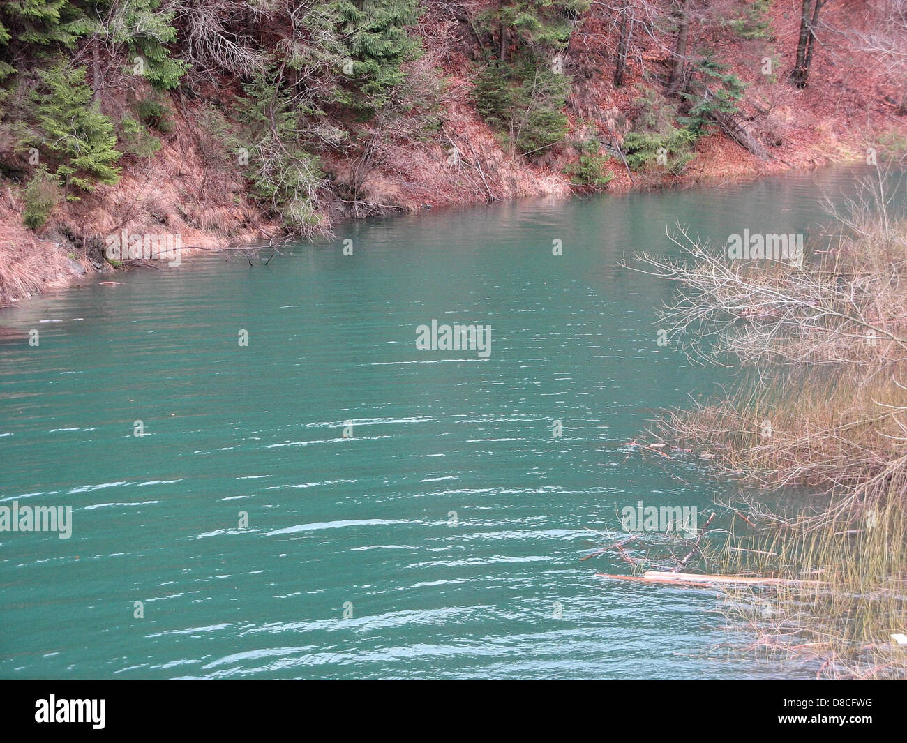 The clear blue water reflects the sky, creating a serene and calming ...