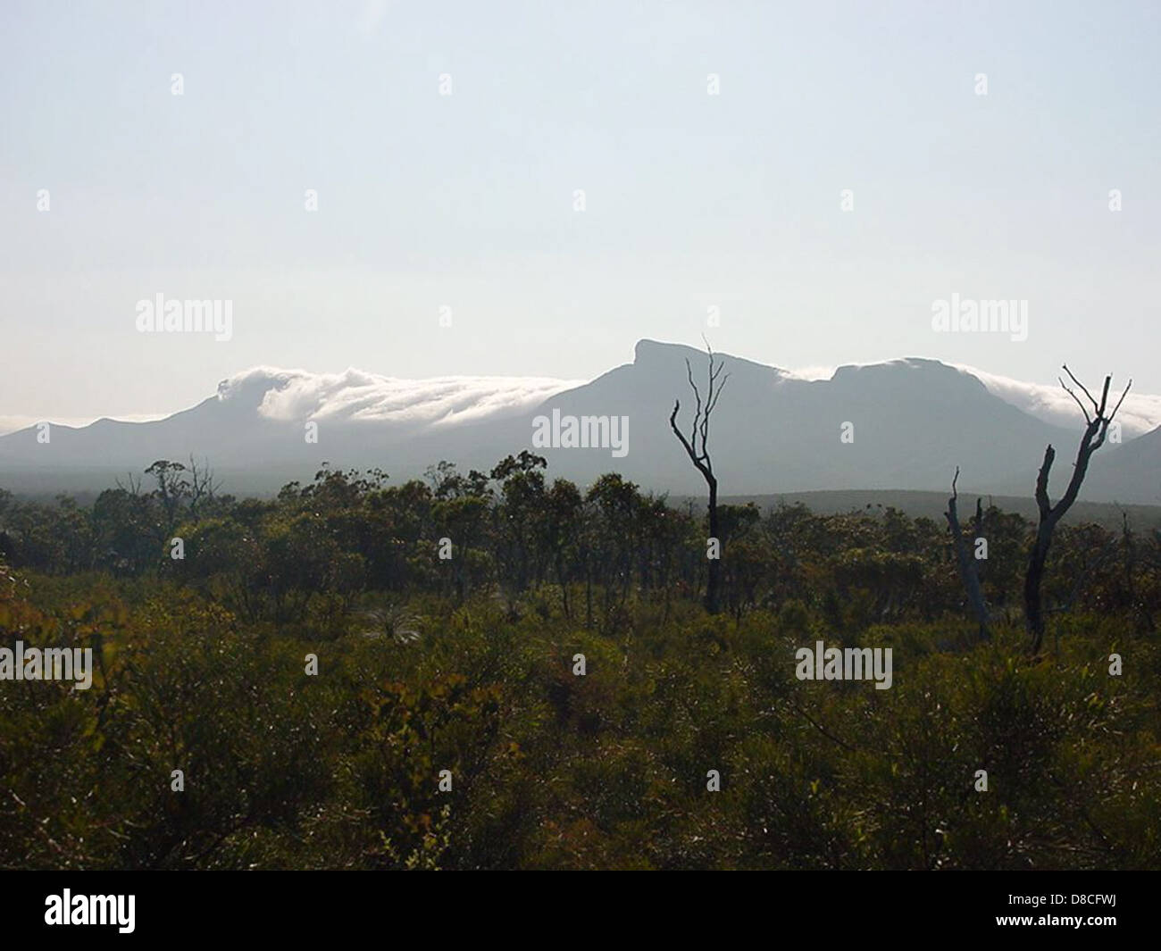This image captures Bluff Knoll in the Stirling Ranges of Western ...