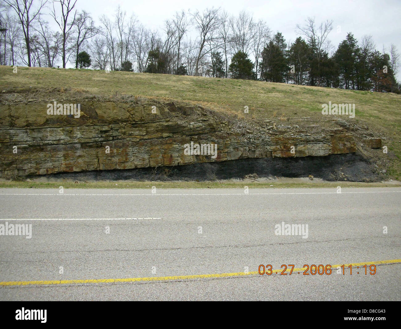 A geological outcrop showing the contact between Boone Formation and ...