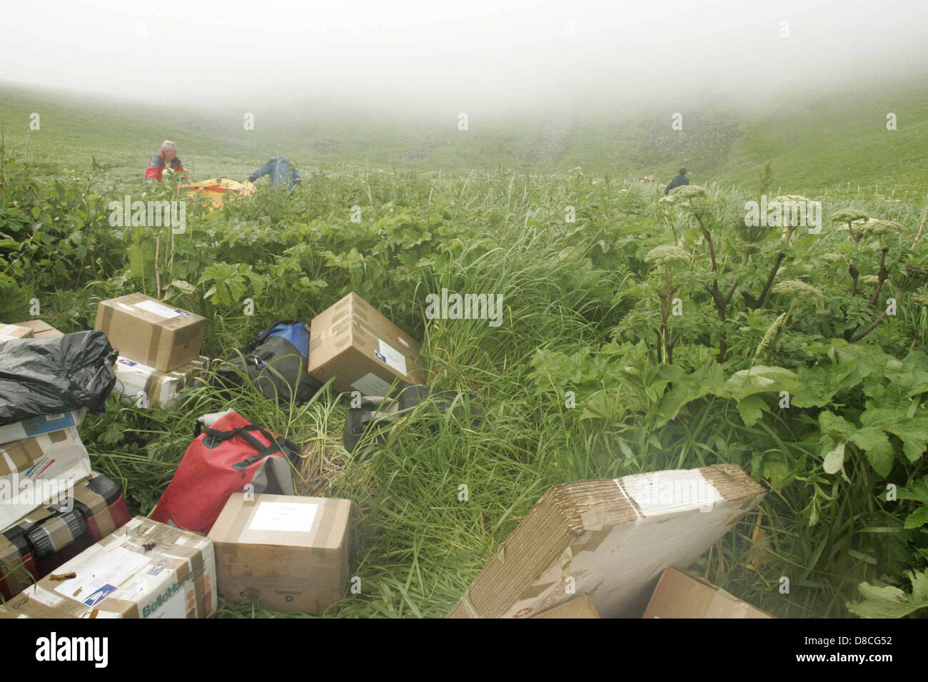 Boxes in grass Stock Photo - Alamy