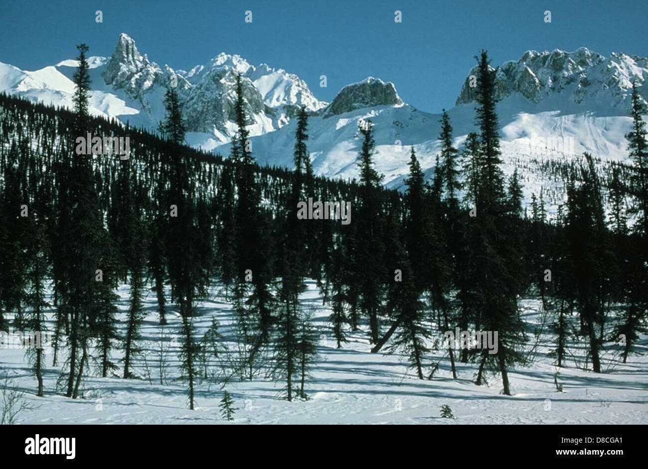 The Brooks Range in winter, covered in snow and ice, presents a ...