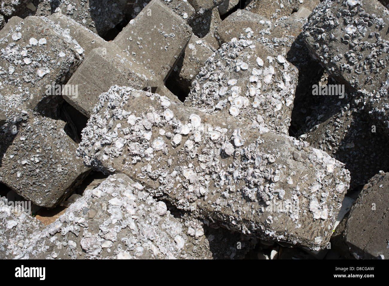 Breakwater with concrete blocks Stock Photo - Alamy