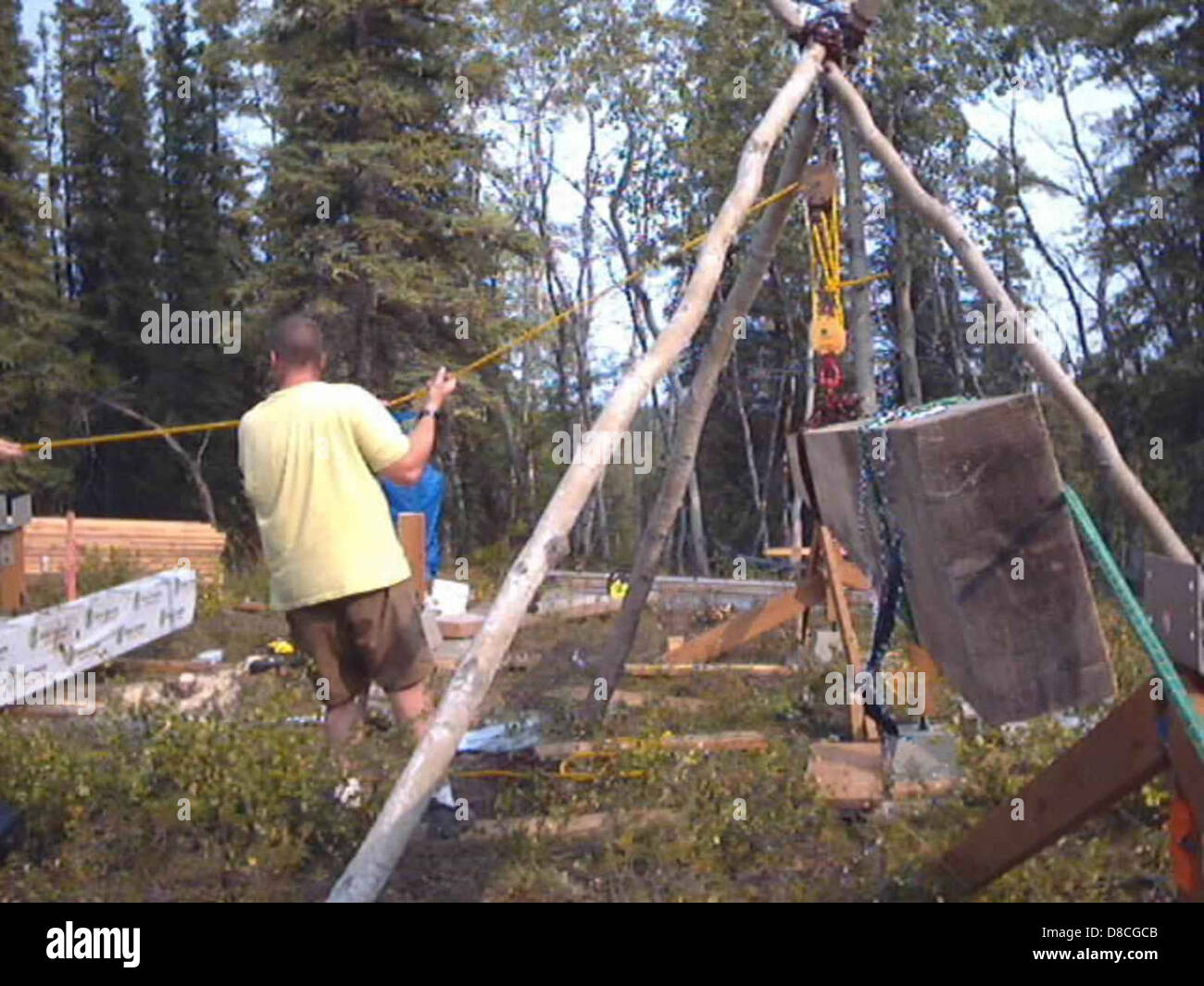 Construction workers build a cabin in a secluded forest, using logs and ...