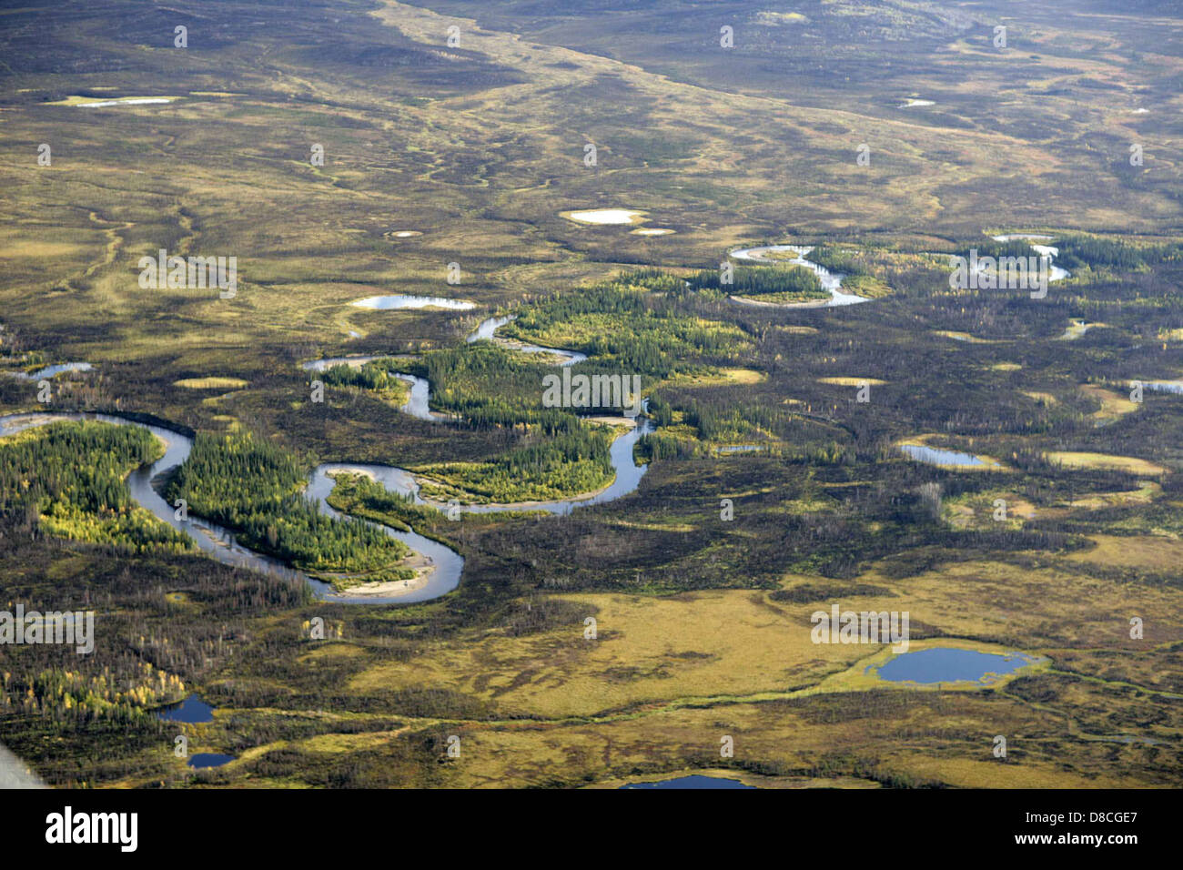 An aerial view of a burned area, showing scorched earth and remnants of ...