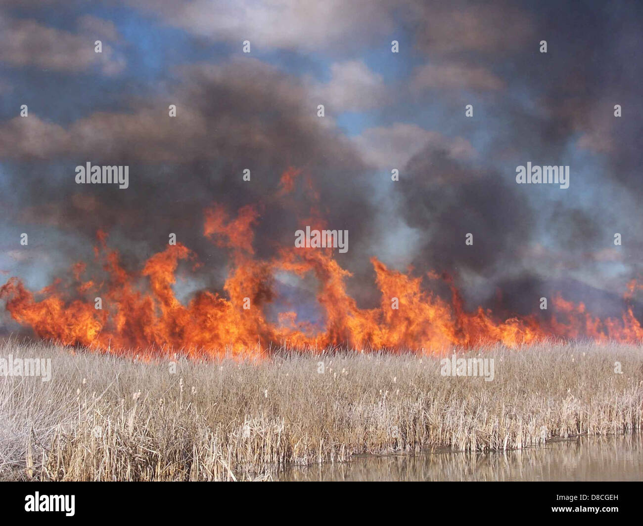 Burning marshes hi-res stock photography and images - Alamy