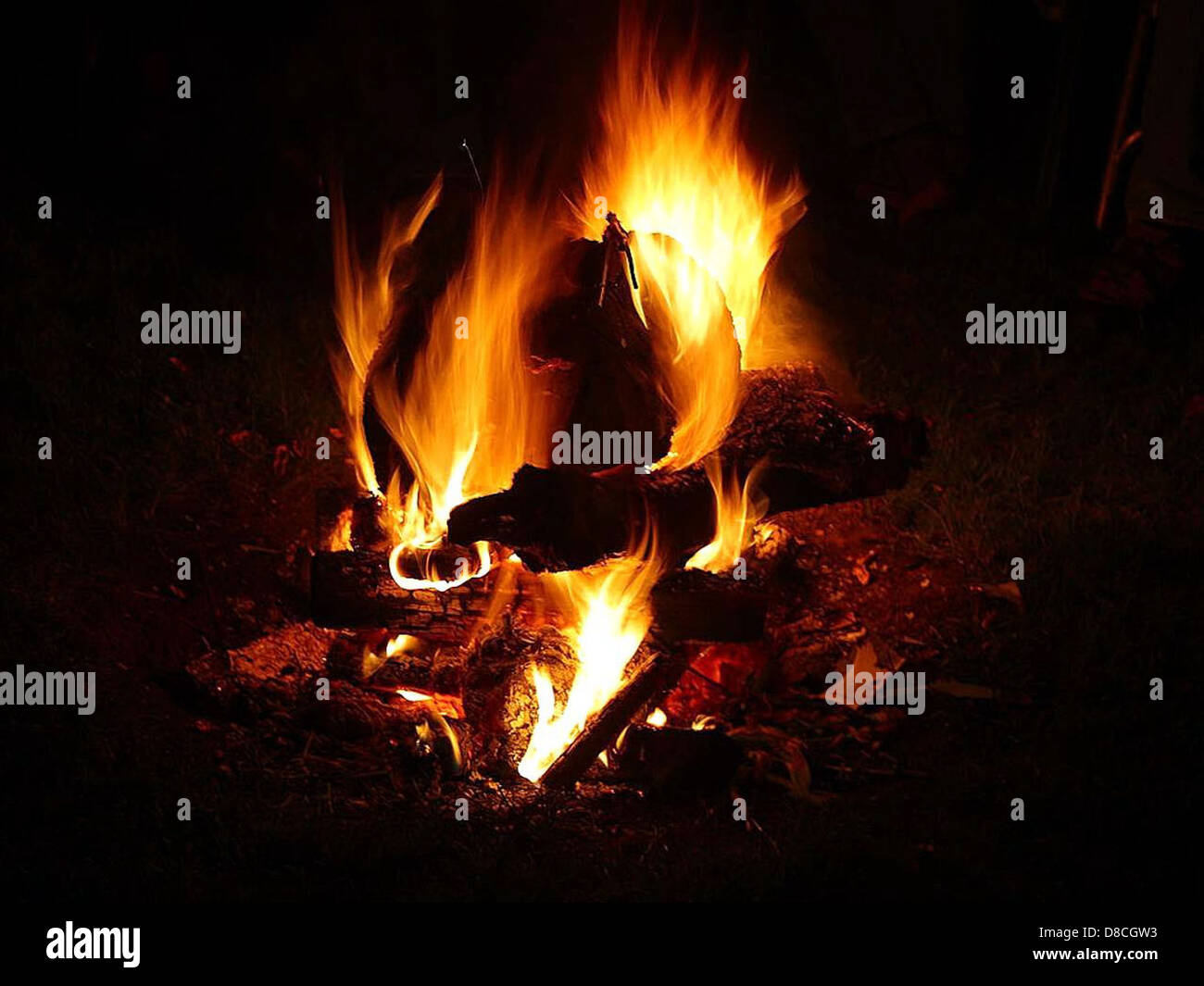 Dynamic outdoor setting captures hi-res stock photography and images ...