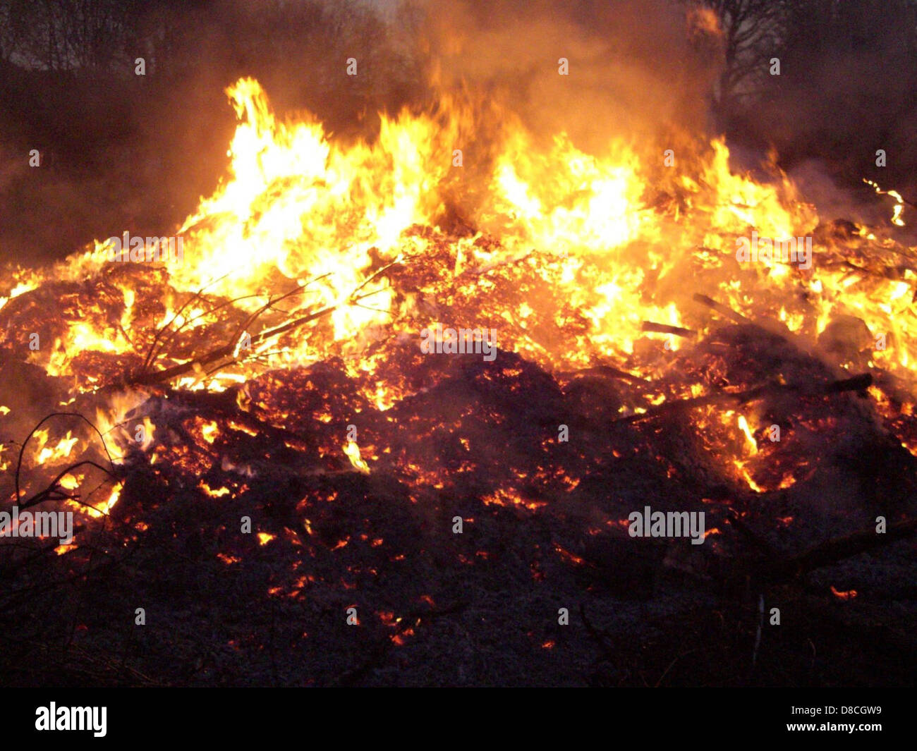 A close-up of a campfire burning with bright, lively flames. The fire ...