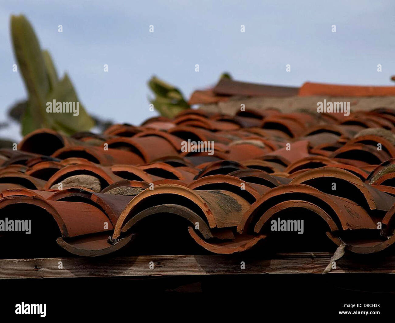 Ceramic roofing tiles, used in traditional building designs, are ...