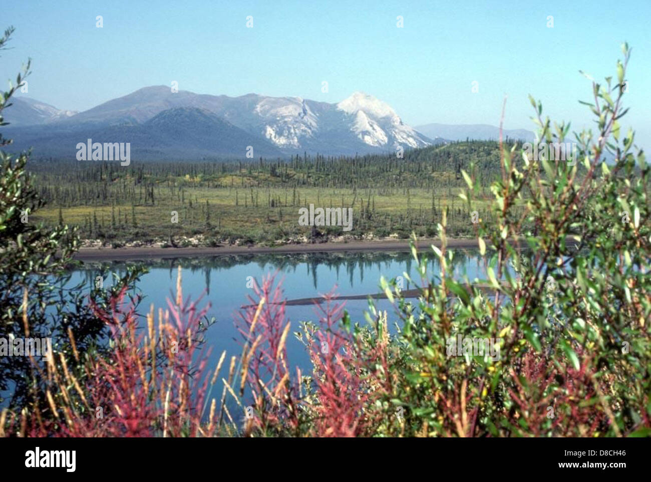 The Chandalar River during the summer season, flowing through a scenic ...