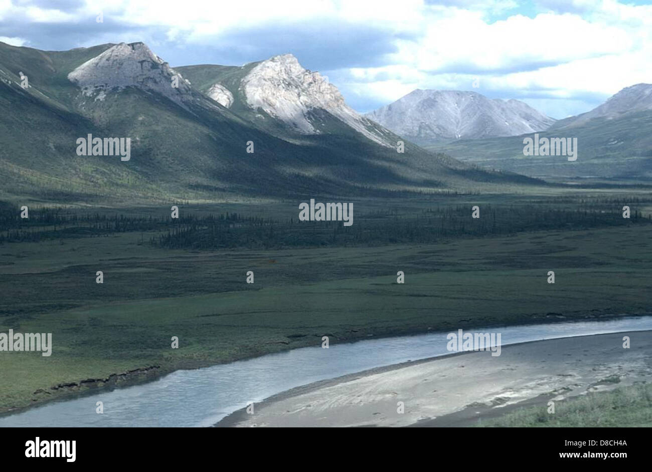 Chandalar river valley in summer Stock Photo - Alamy