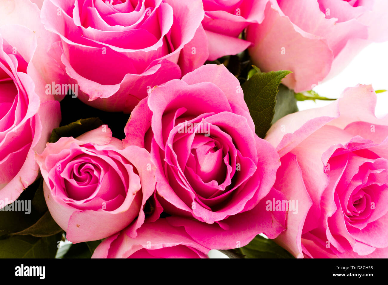 Small bouquet of fresh pink roses Stock Photo - Alamy