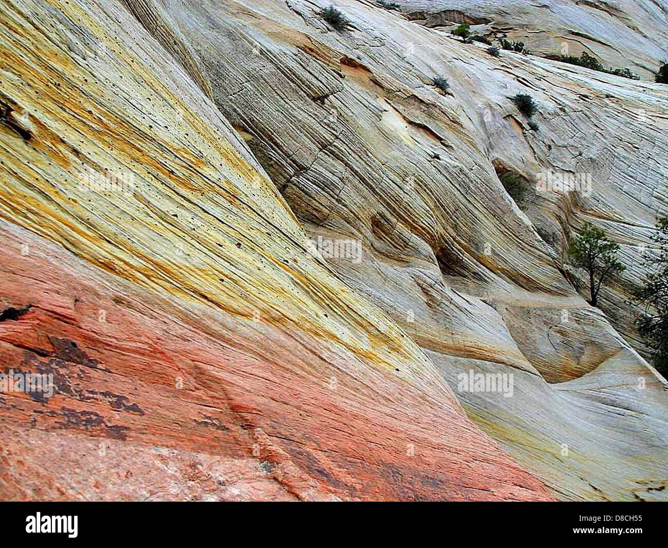 Showcasing distinct layers hi-res stock photography and images - Alamy