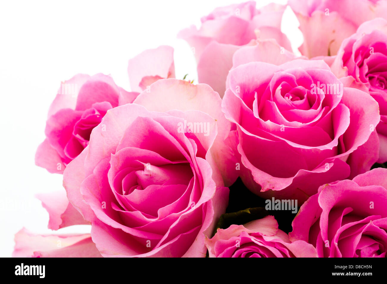 Small bouquet of fresh pink roses Stock Photo - Alamy