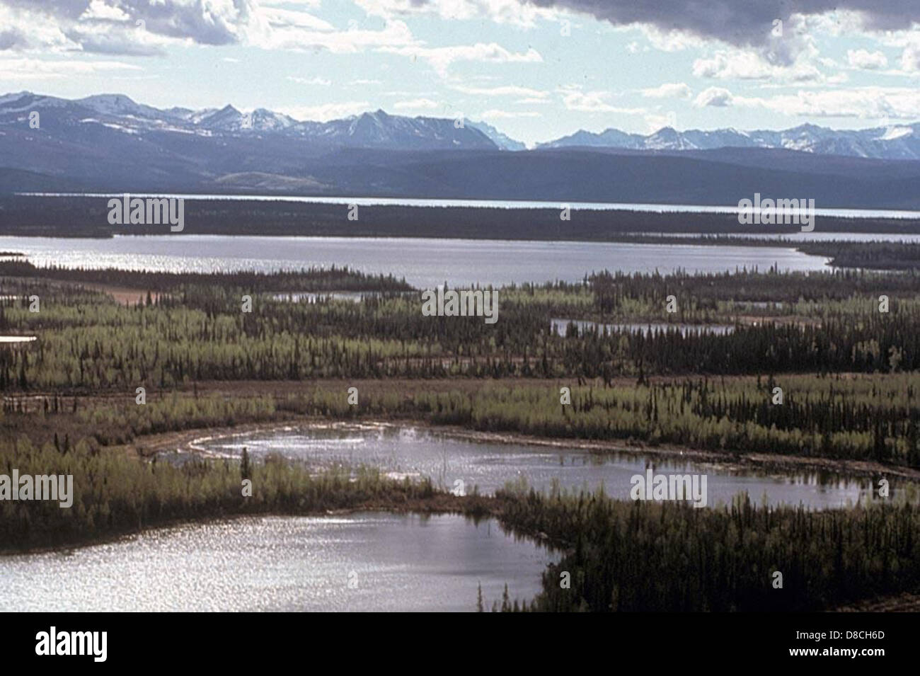 The Chisana and Nabesna Rivers flow through a rugged landscape ...