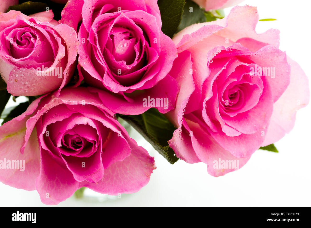 Small bouquet of fresh pink roses Stock Photo - Alamy