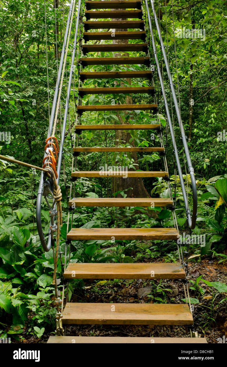 Hanging ladder in Bastimentos Sky canopy center Stock Photo - Alamy
