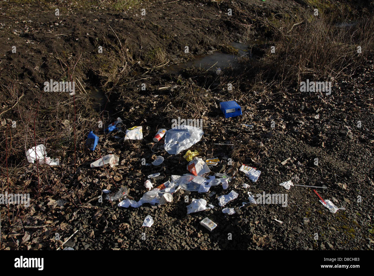 A close-up view of trash scattered along the roadside, showing litter ...