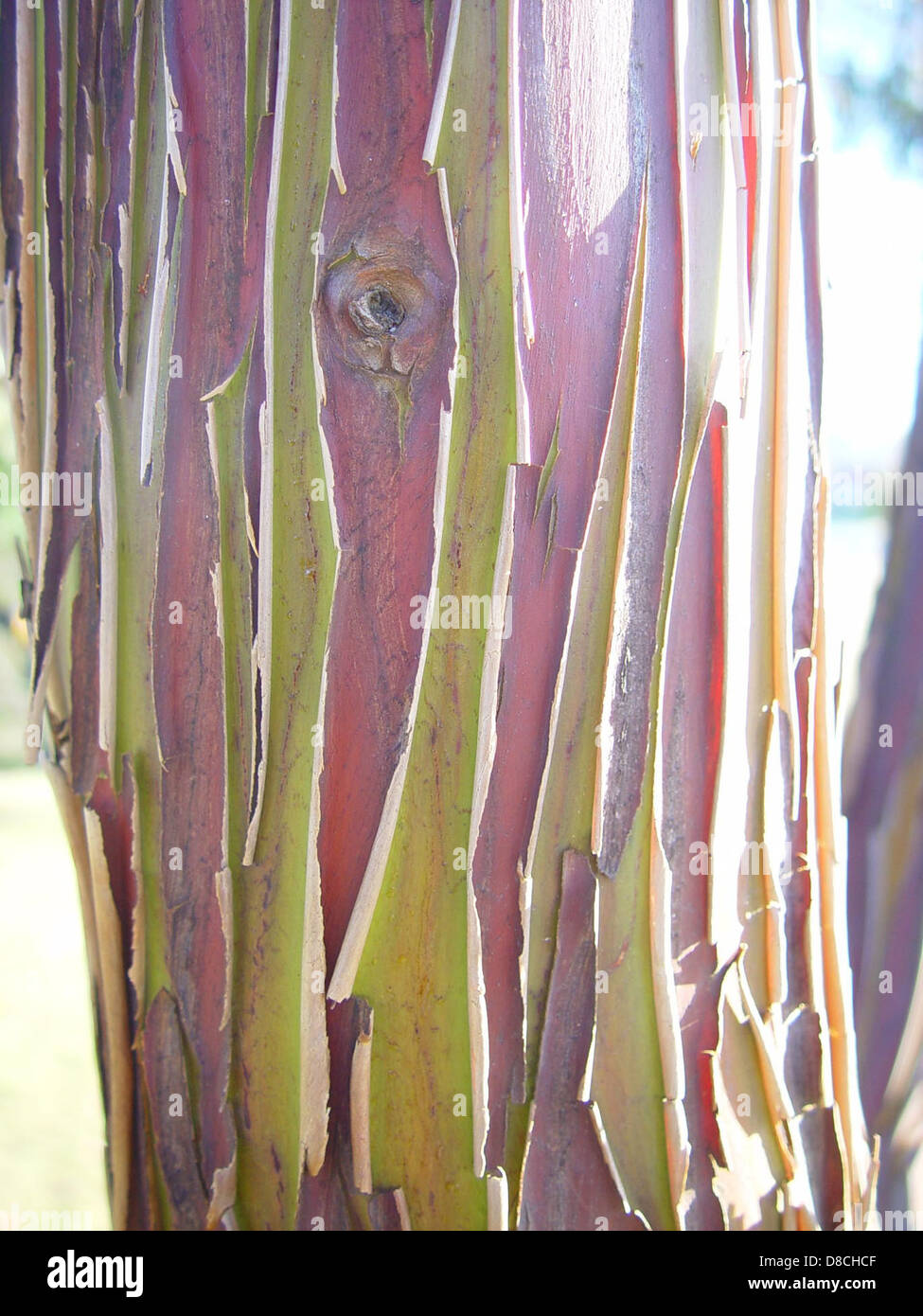 Carramar hi-res stock photography and images - Alamy