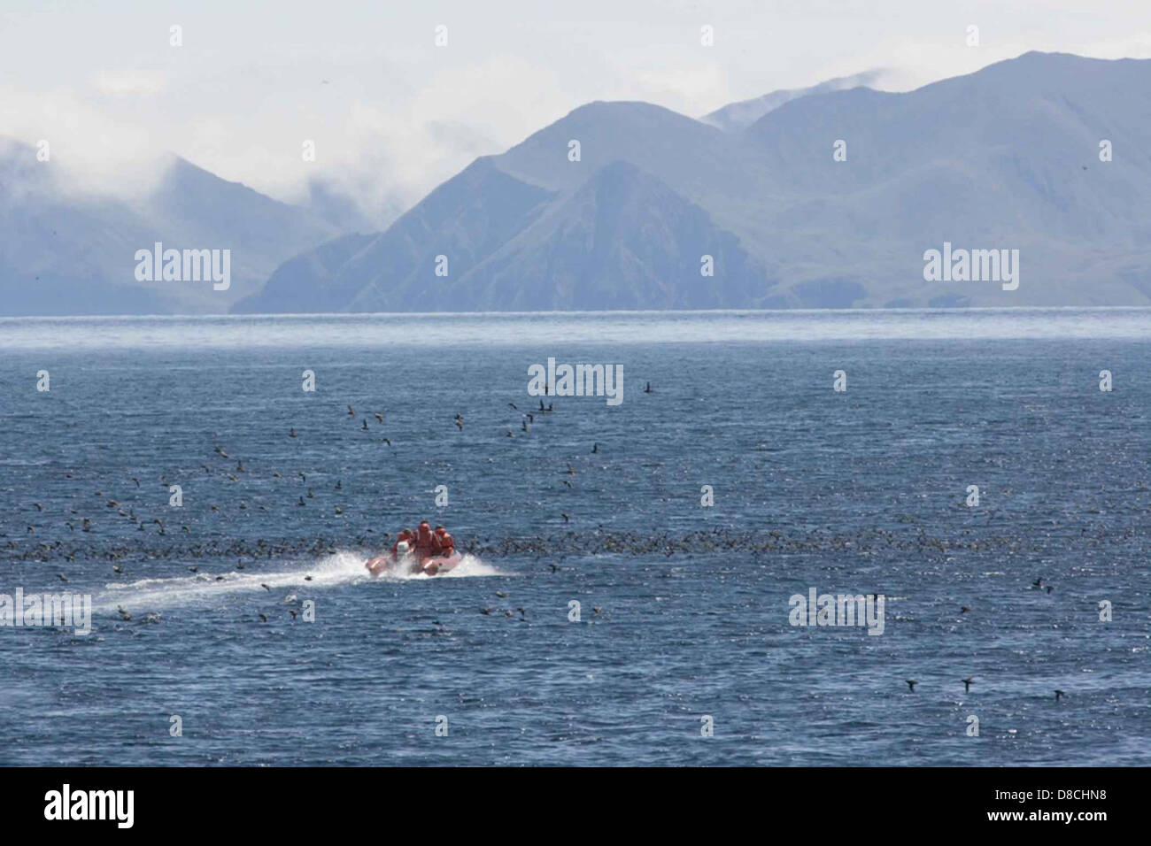 A Coast Guard crew operates a boat on open water, performing their ...