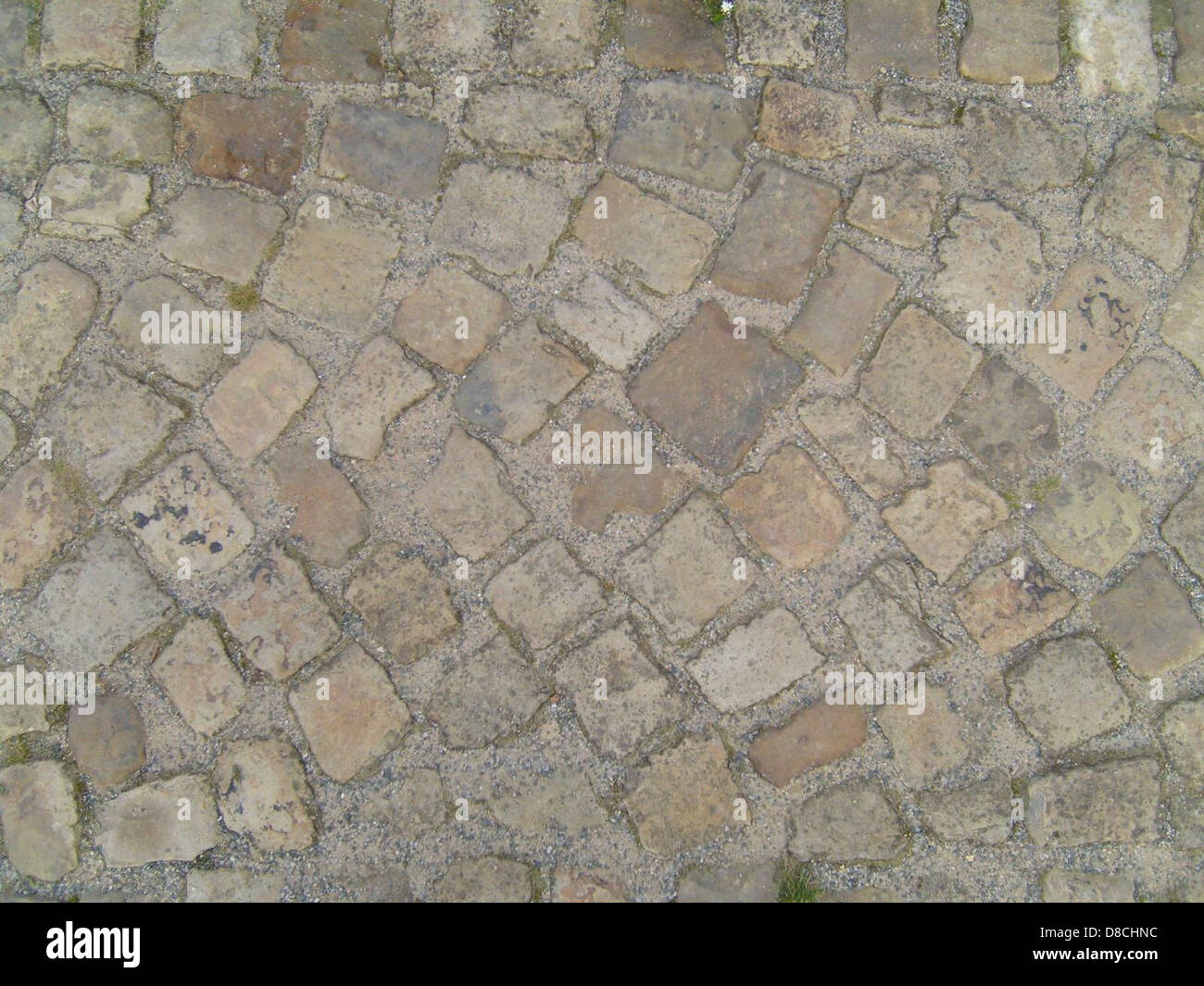 A close-up image of cobbled stones, often used in historic paving and ...