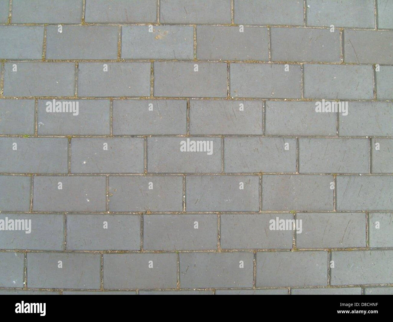 The grey texture of cobbled bricks is shown, with their rough surface ...