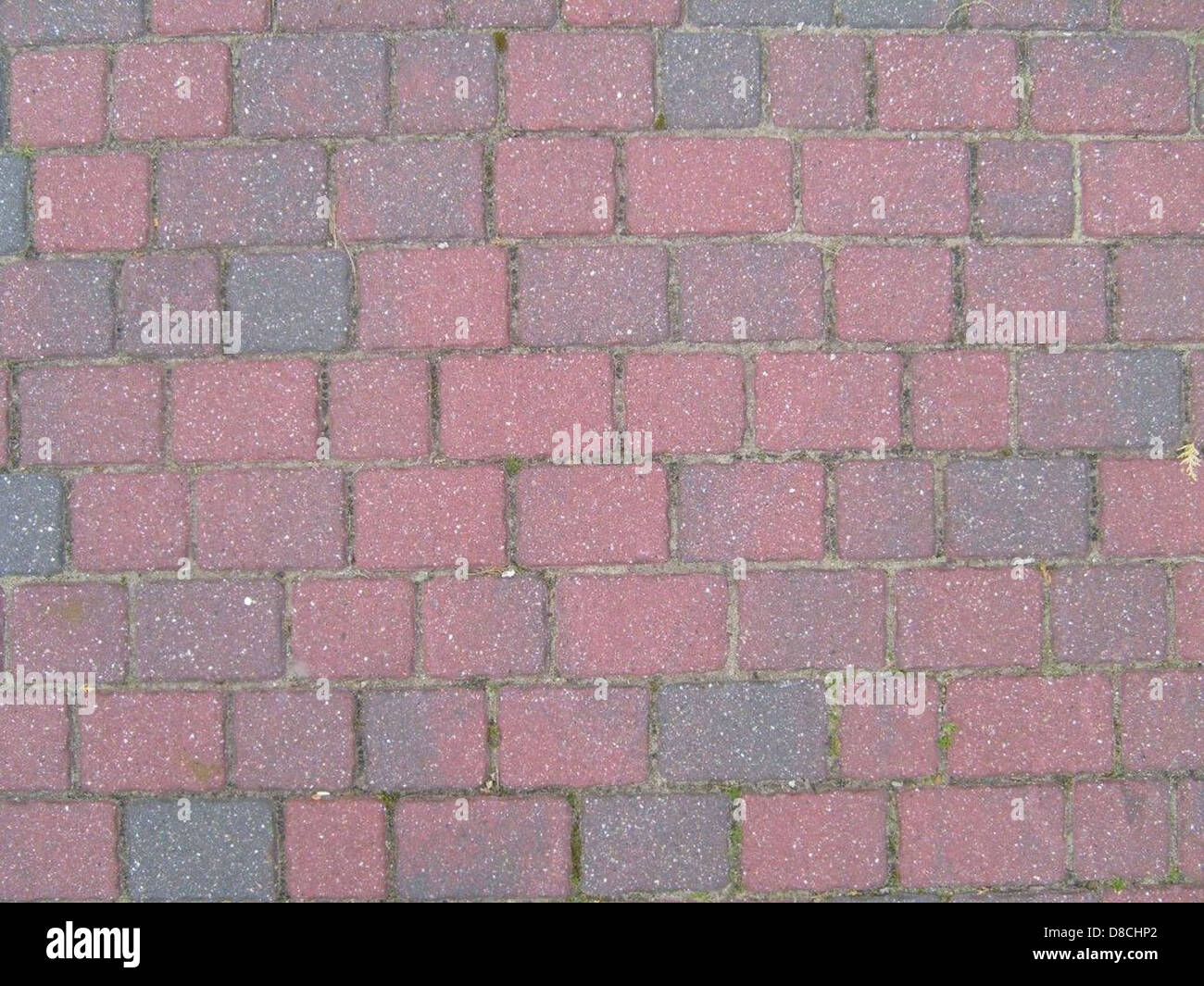 The image shows a close-up of red cobblestones with high detail ...