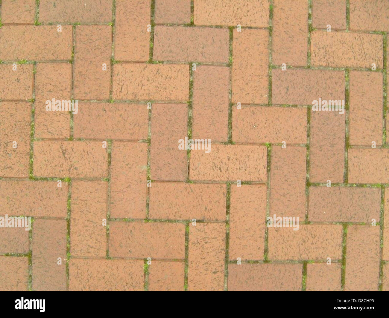Close-up image of red cobbles with orange hues, highlighting the ...