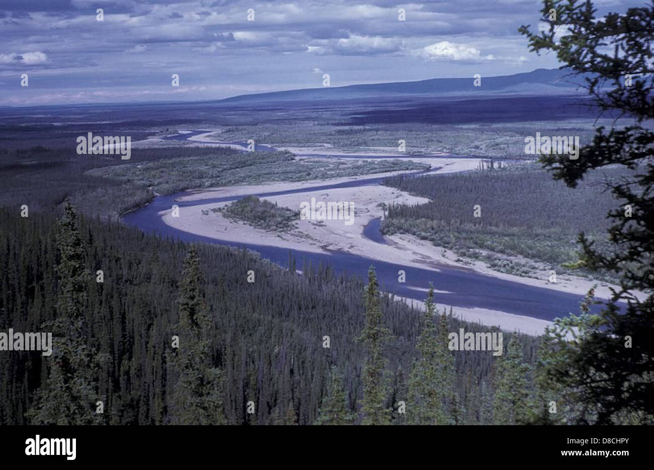 A peaceful view of the Coleen River shows flowing water surrounded by ...