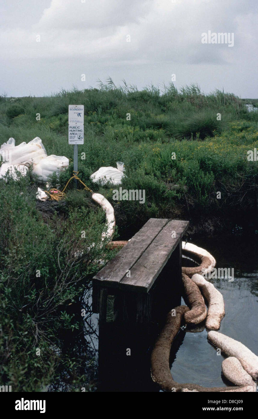 This image depicts oil contamination in a water body, highlighting the ...