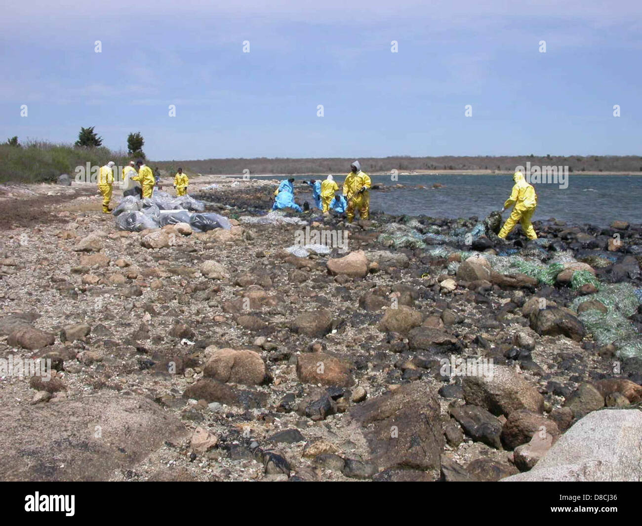 A group of workers are seen cleaning up a beach, collecting waste and ...