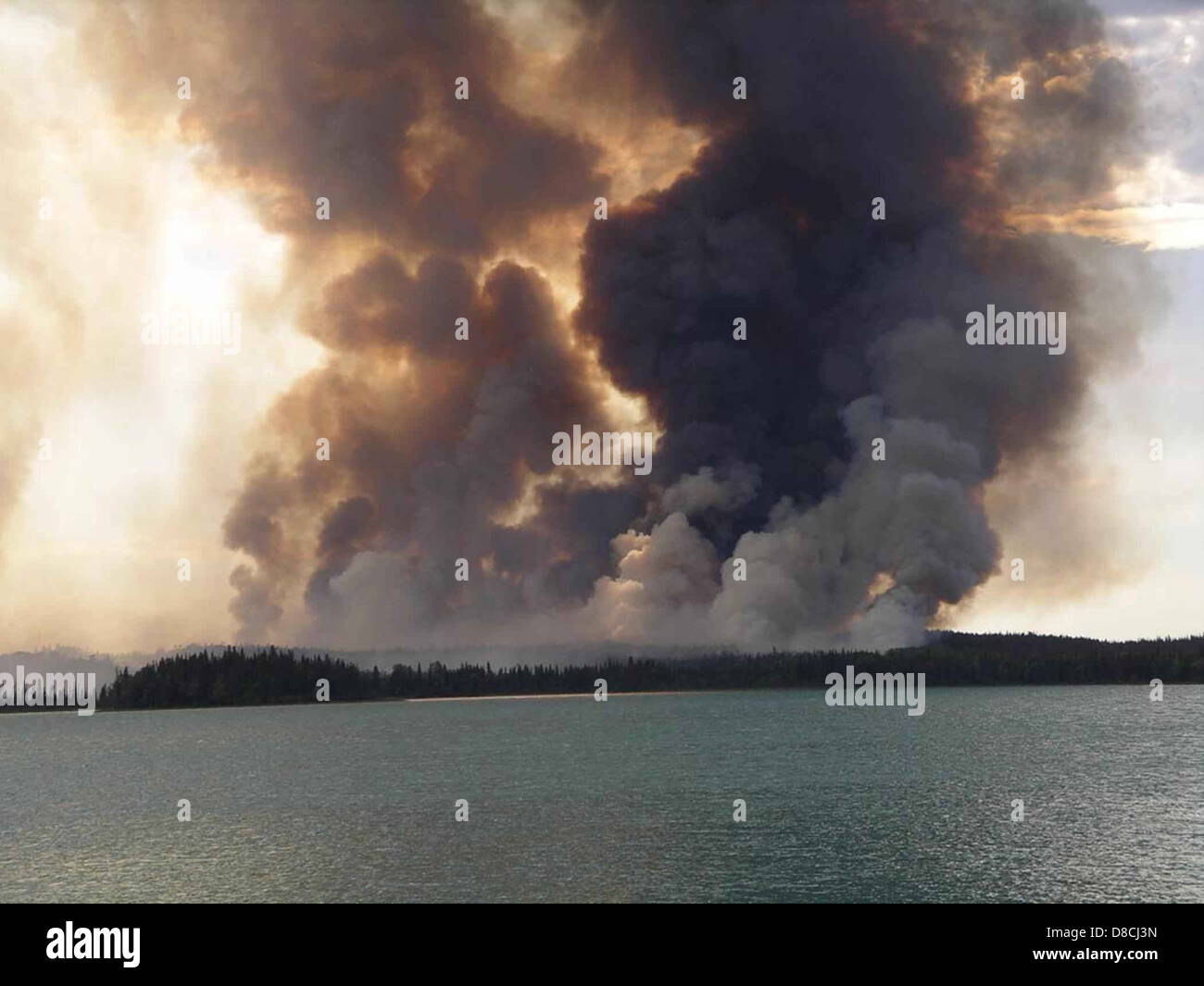 A forest fire burns intensely as flames rise, creating a crown-like ...