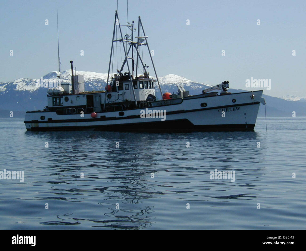 A Curlew ship, typically a wooden sailing vessel, photographed on the ...