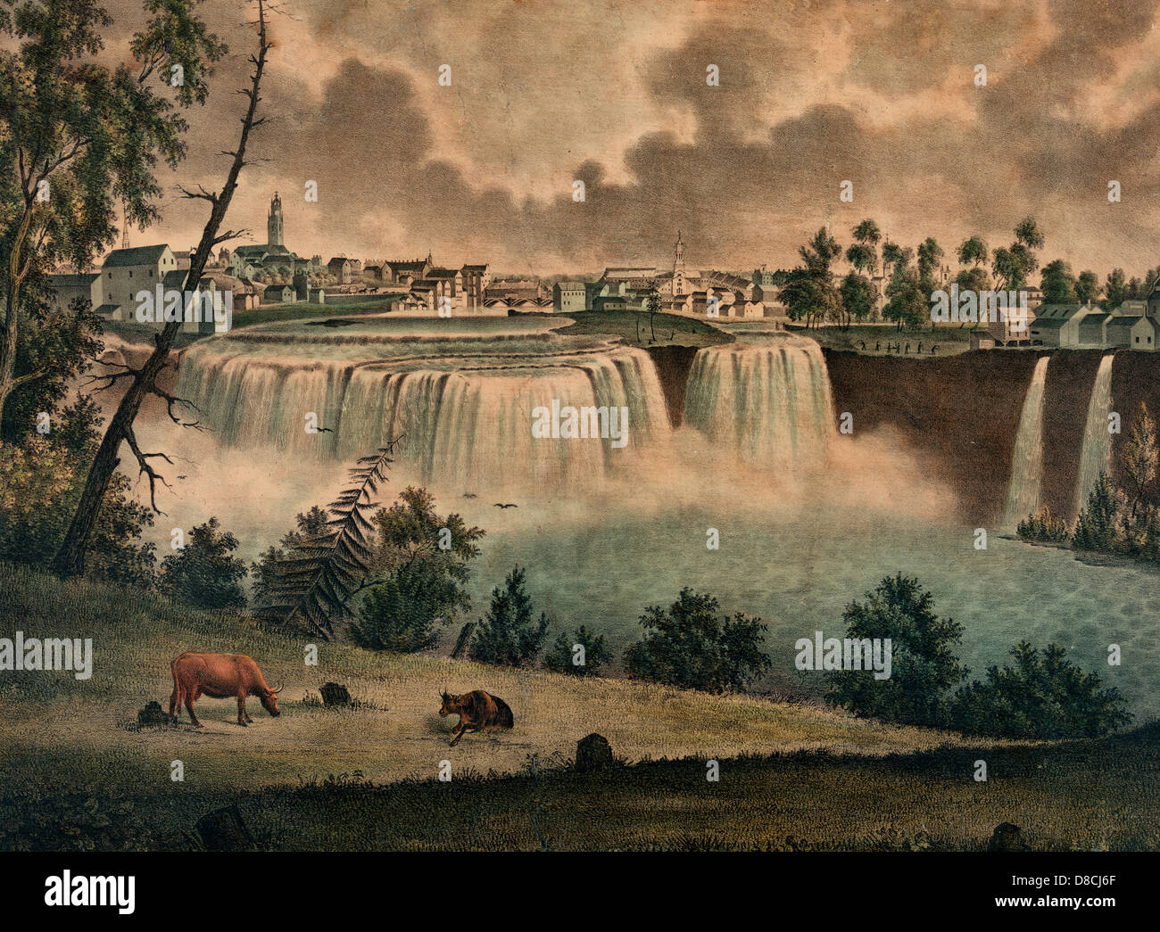 The upper falls of the Genesee at Rochester, NY, a view from the east ...