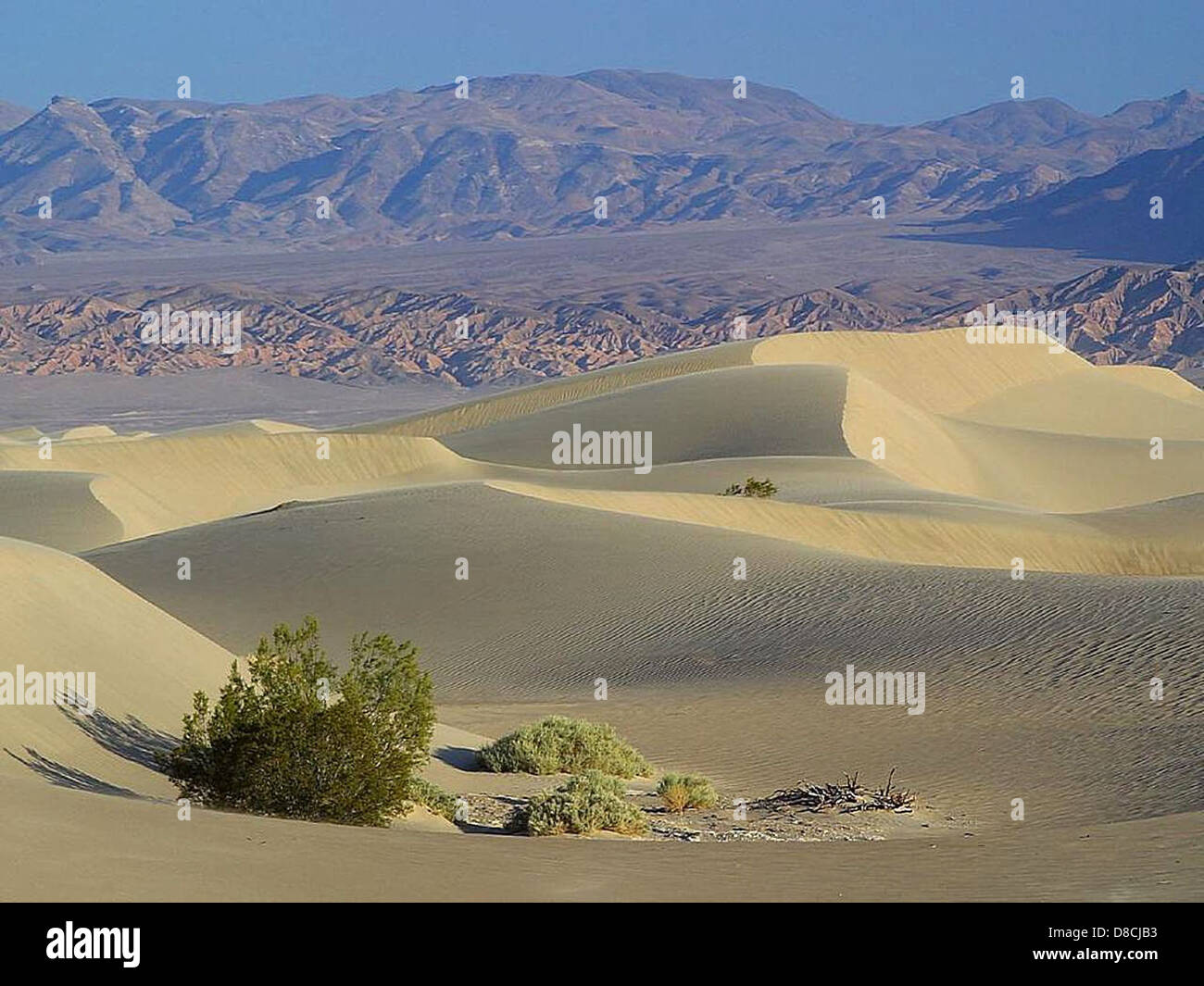 The sand dunes of Death Valley, one of the hottest and driest places on ...