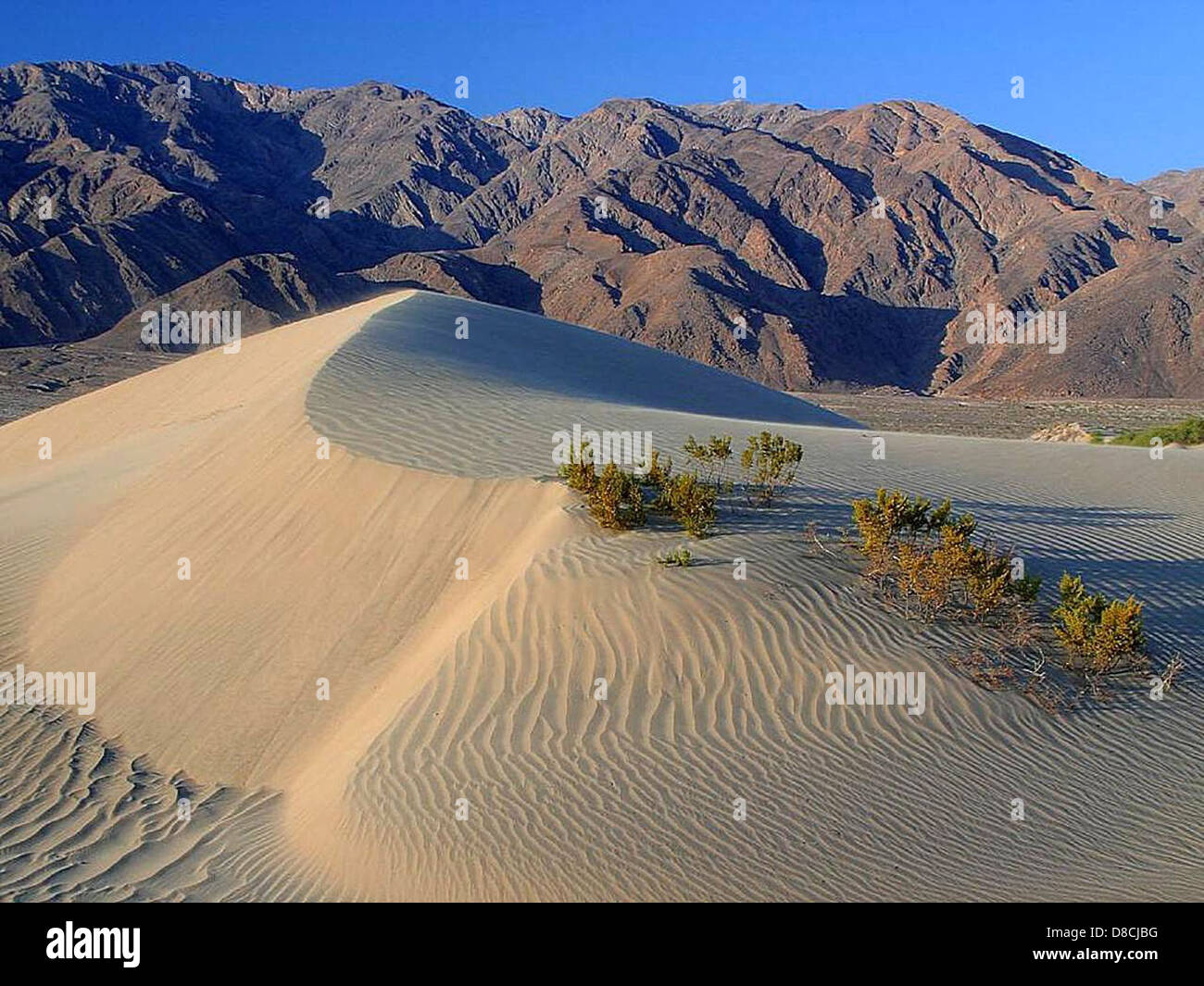 The iconic sand dunes of Death Valley, located in California. Known for ...