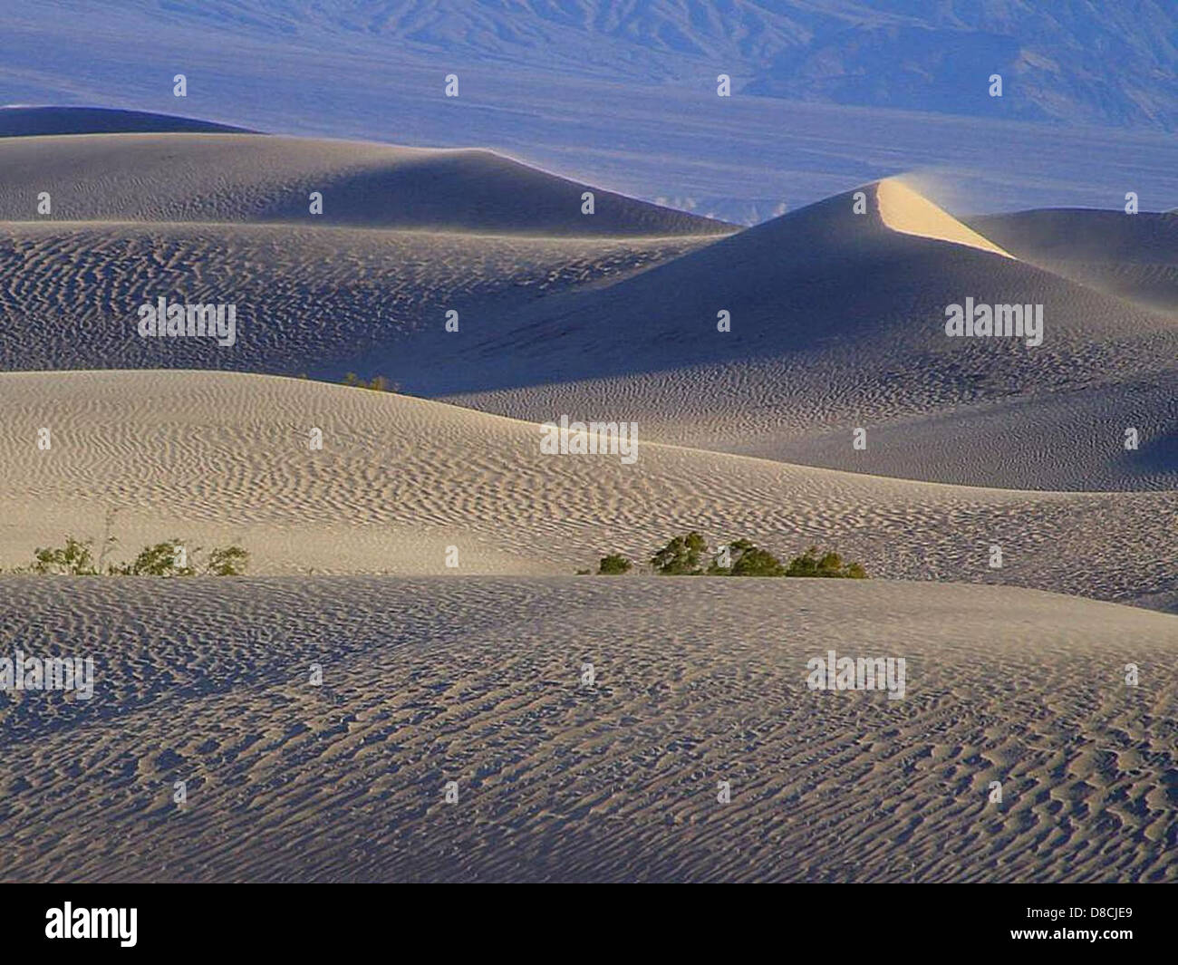 Tracks in the sand dunes of a desert create patterns across the ...