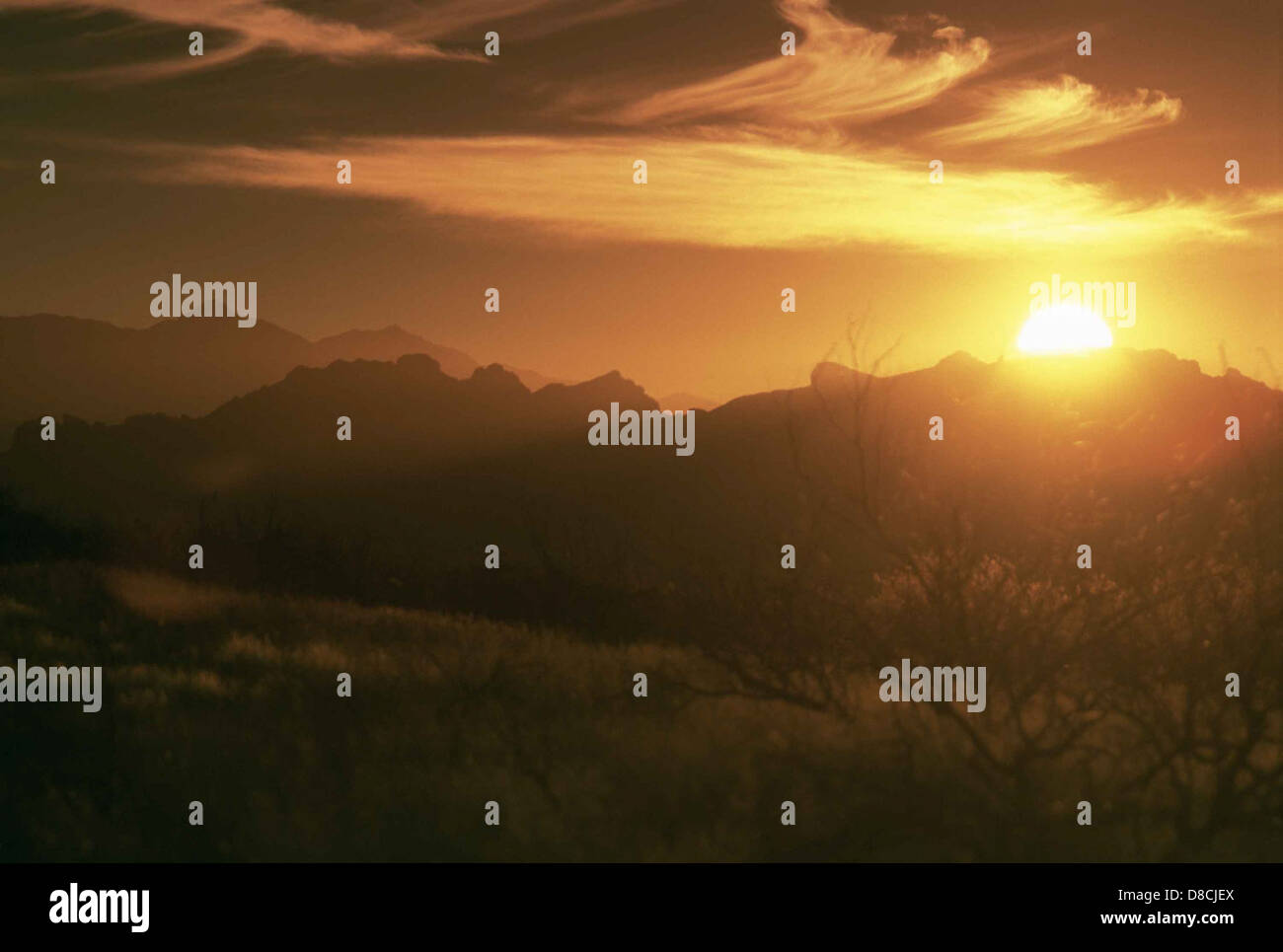 Desert sunset scenic Stock Photo - Alamy