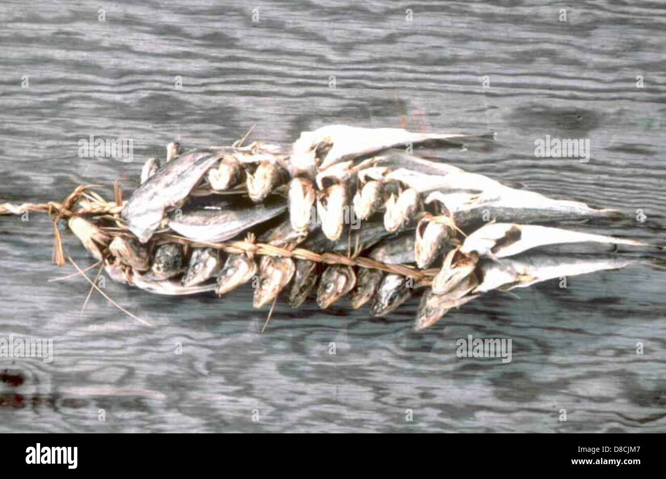 This image shows a collection of dried fish fillets, typically used for ...