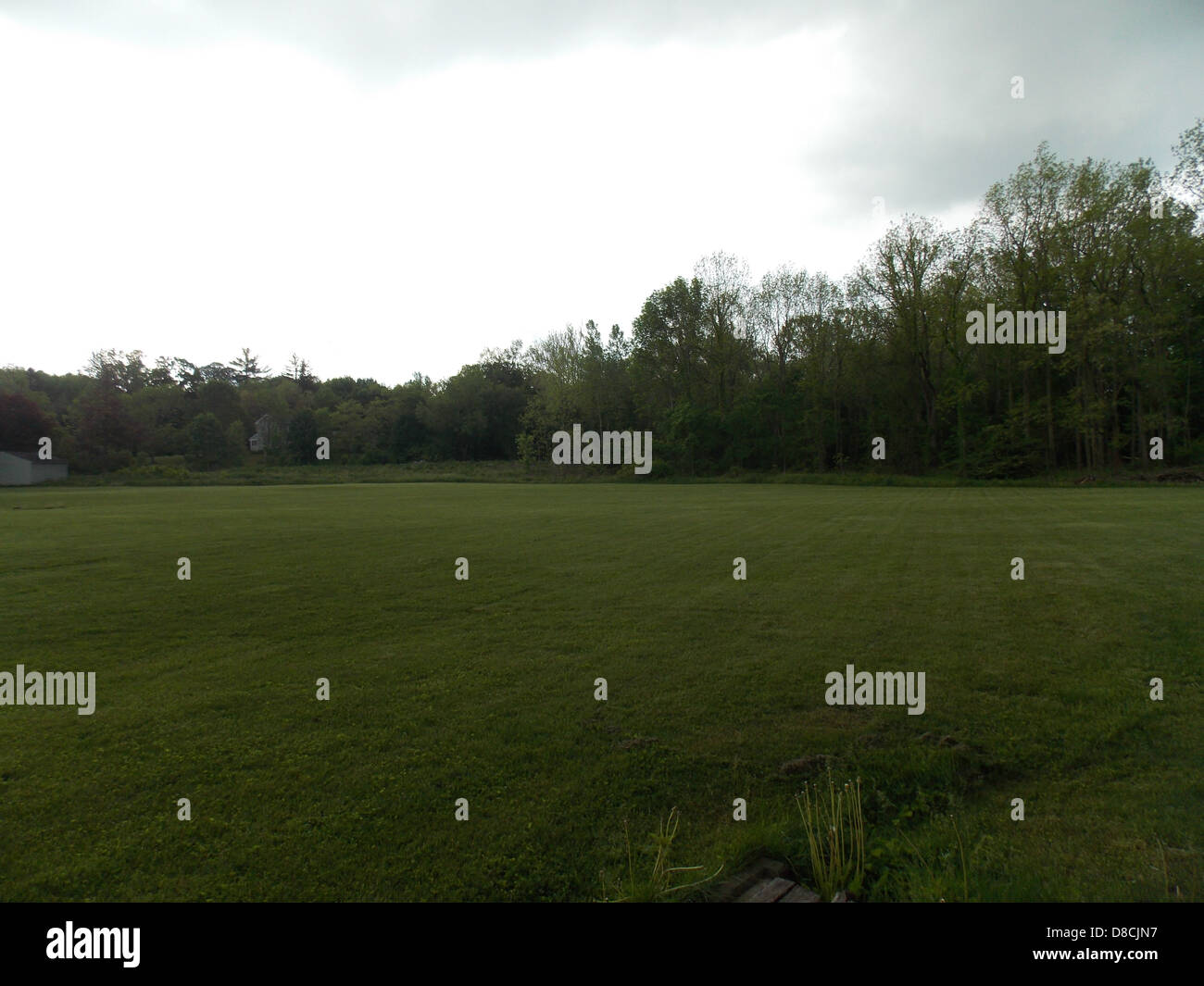 Field of hope Stock Photo - Alamy