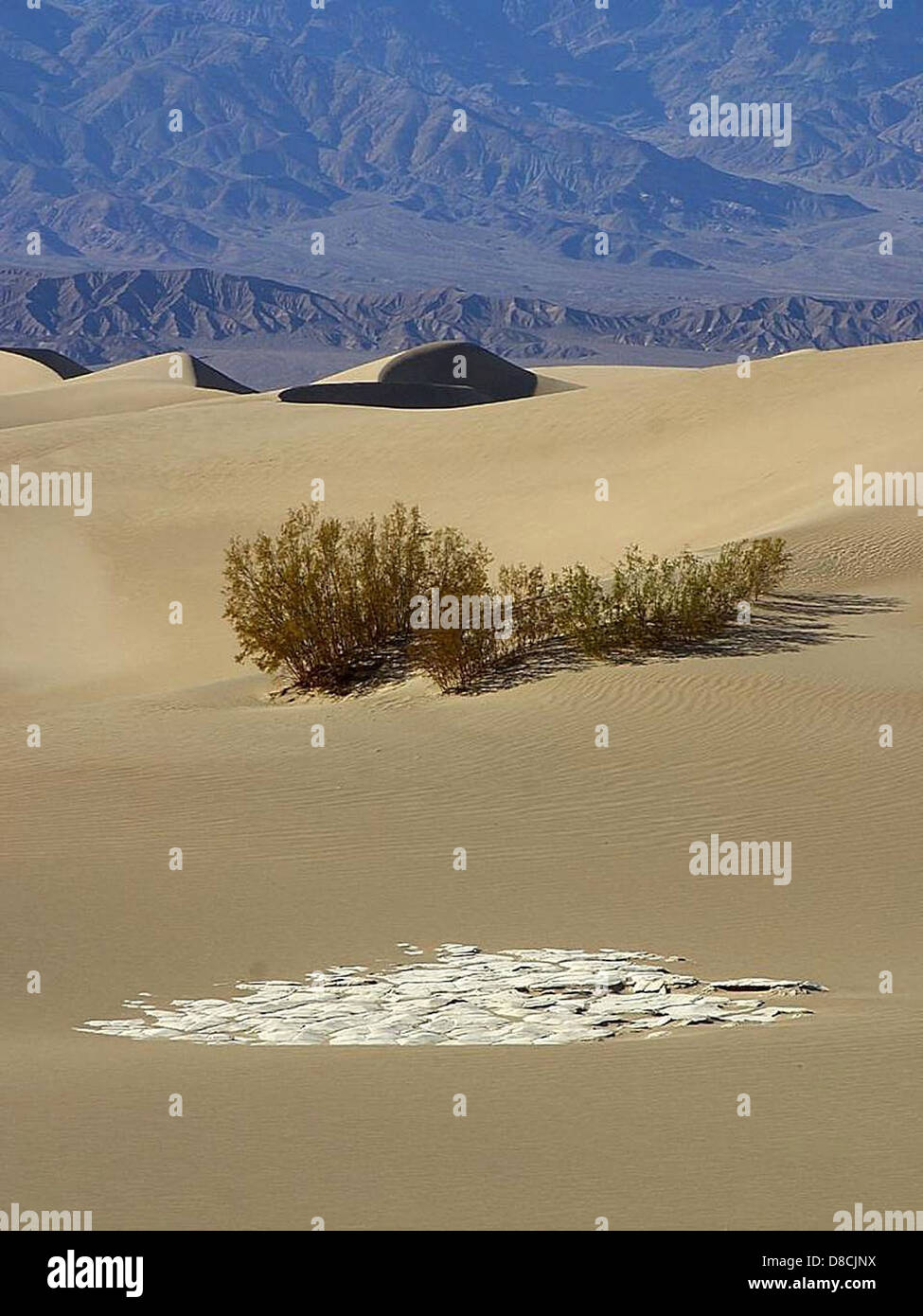 A desert landscape featuring sand dunes that stretch across the horizon ...